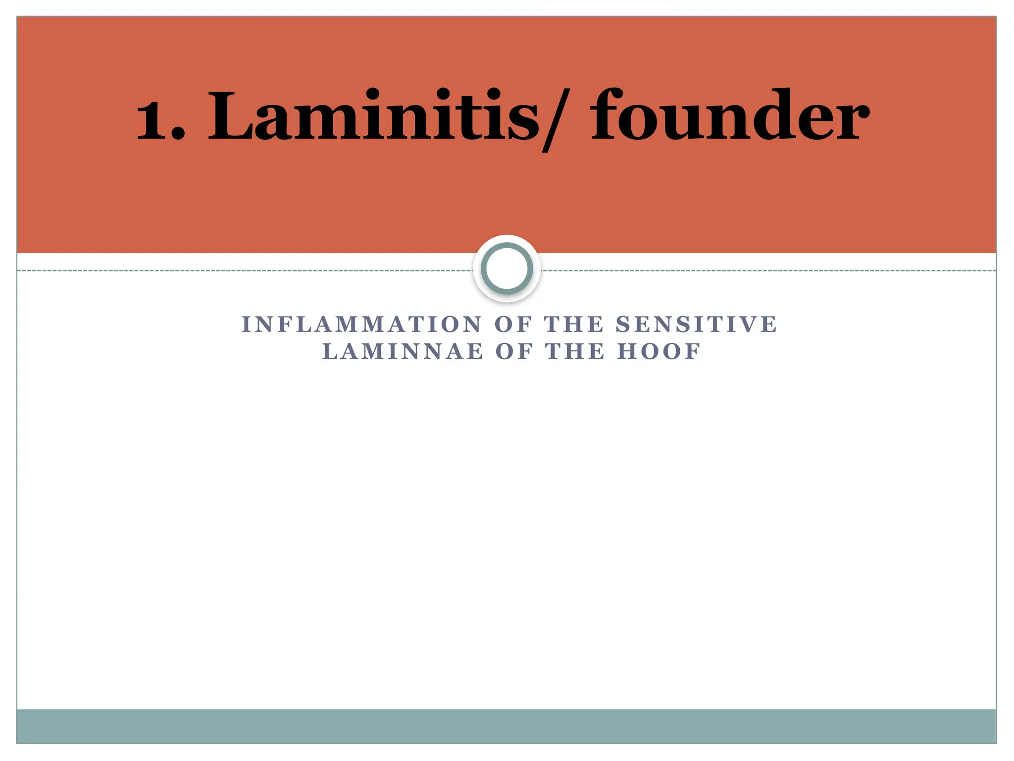 lecture 8 Laminitis, monday morning sickness.pptx