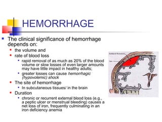 8 | PPT | Heart and Cardiovascular Diseases | Diseases and Conditions