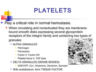 8 | PPT | Heart and Cardiovascular Diseases | Diseases and Conditions