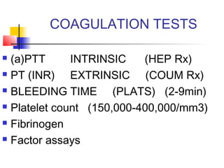 8 | PPT