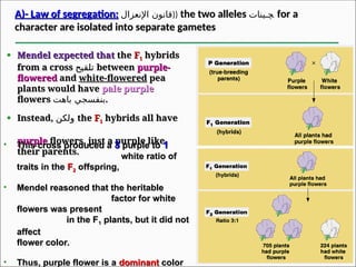 Mendel laws of inheritance, segregation, independent assortment.ppt