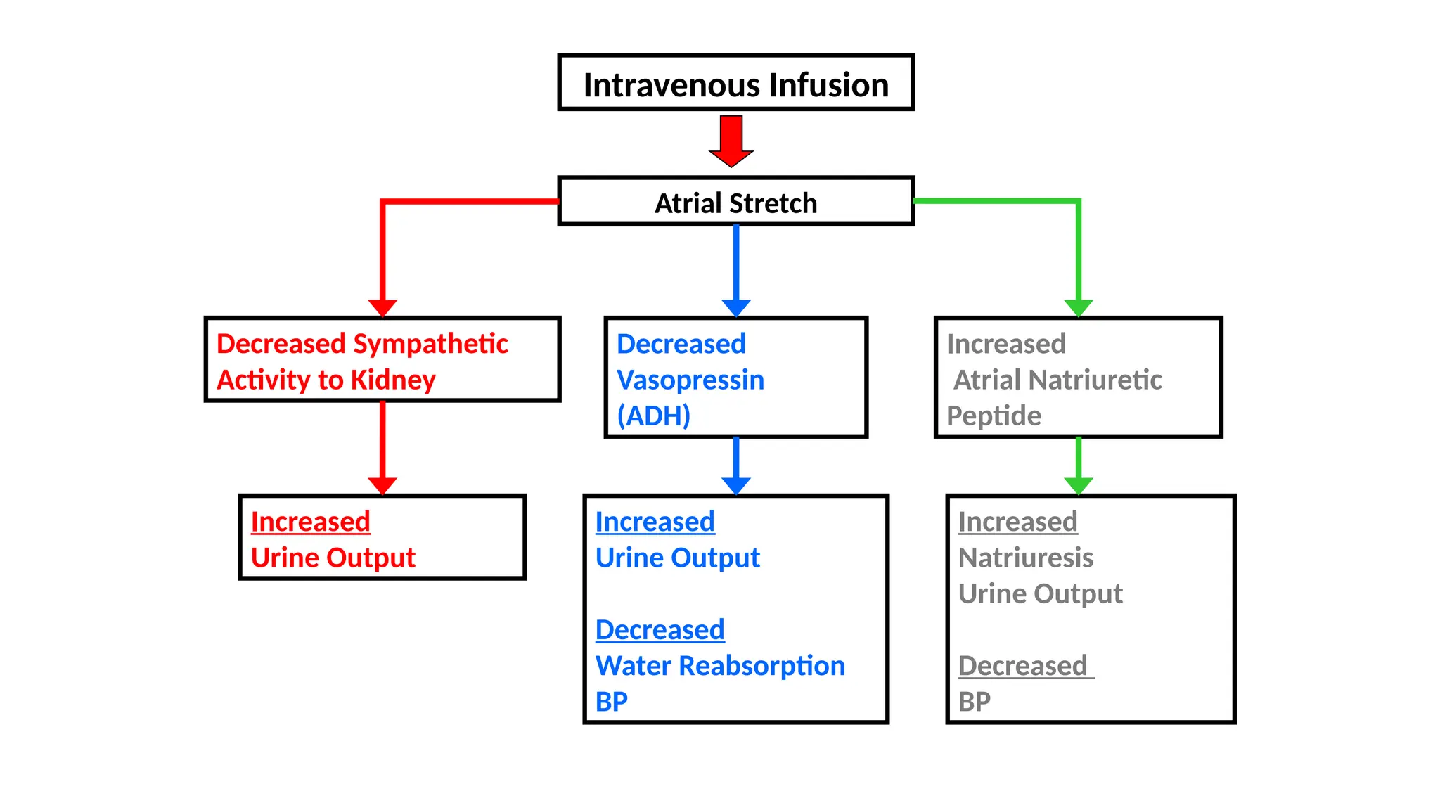 Lecture 8_Neural regulation of cardiac activity and cardiac reflexes.ppsx