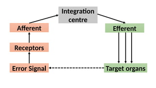 Lecture 8_Neural regulation of cardiac activity and cardiac reflexes.ppsx