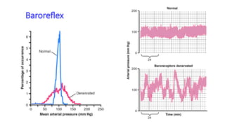 Lecture 8_Neural regulation of cardiac activity and cardiac reflexes.ppsx