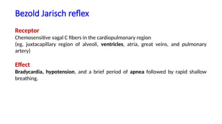 Lecture 8_Neural regulation of cardiac activity and cardiac reflexes.ppsx