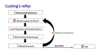 Lecture 8_Neural regulation of cardiac activity and cardiac reflexes.ppsx