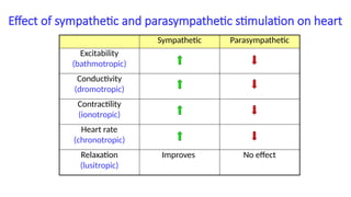 Lecture 8_Neural regulation of cardiac activity and cardiac reflexes.ppsx