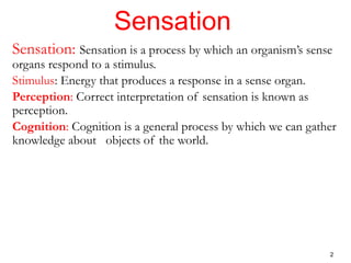 Lecture 8 NEW Sensation wfciddcvdvdsvdsv.pptx