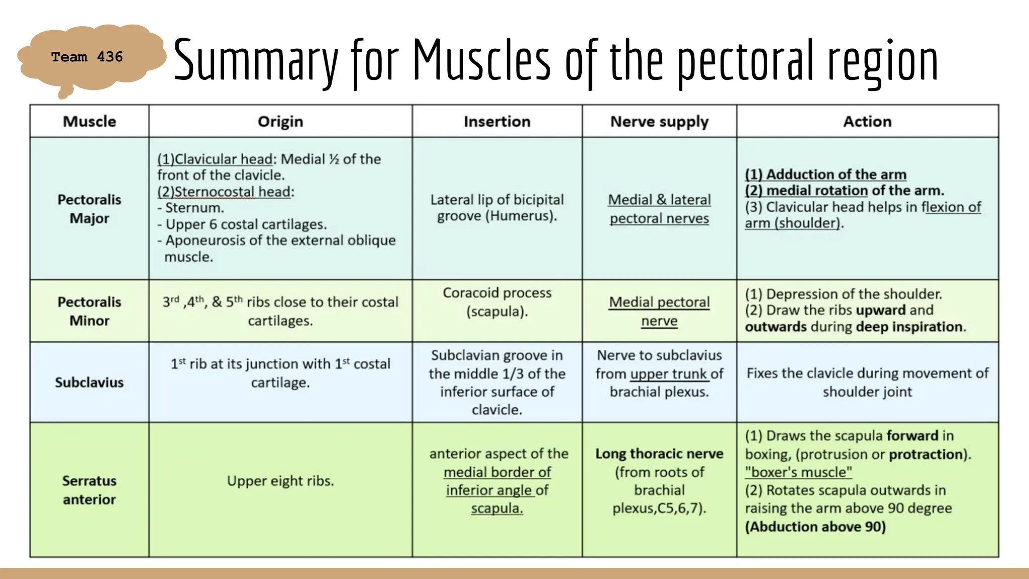 Lecture 8 _ pectoral region and axilla.pdf