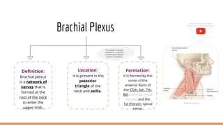 Lecture 8 _ pectoral region and axilla.pdf