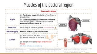 Lecture 8 _ pectoral region and axilla.pdf