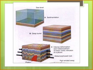 Principle of Stratigraphic | PPTX