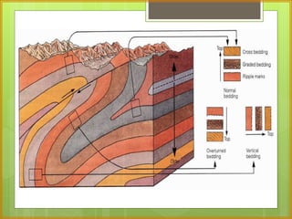 Principle of Stratigraphic | PPT