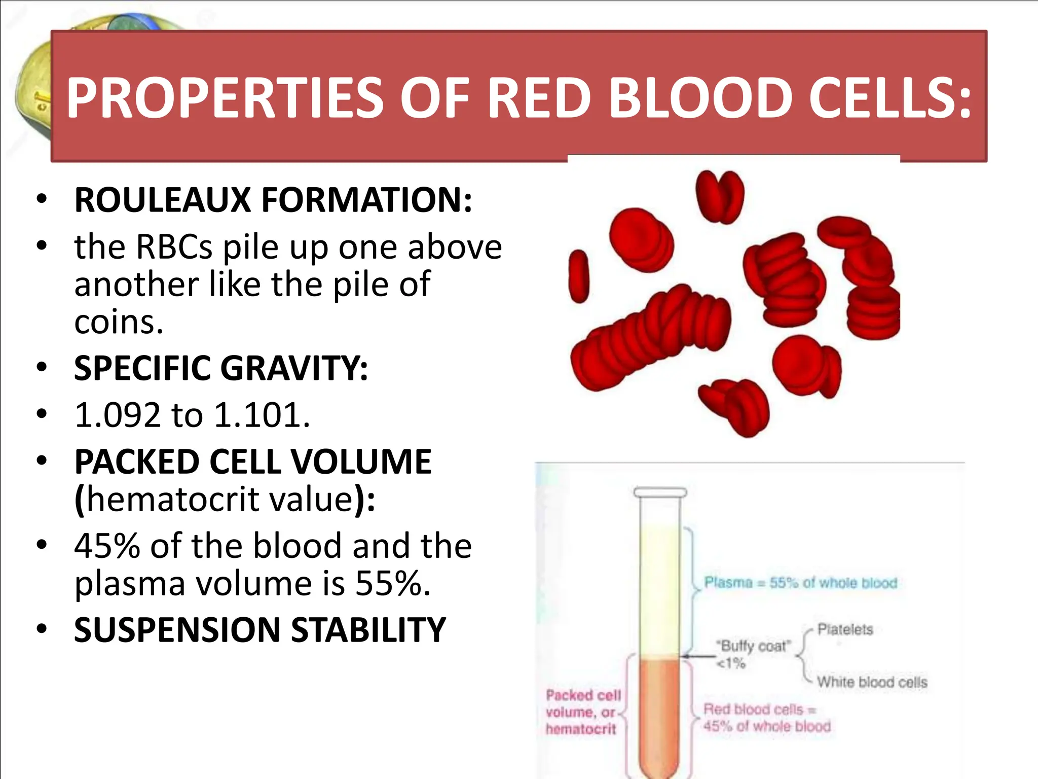 Red blood cells and blood peripheral smear | PPT