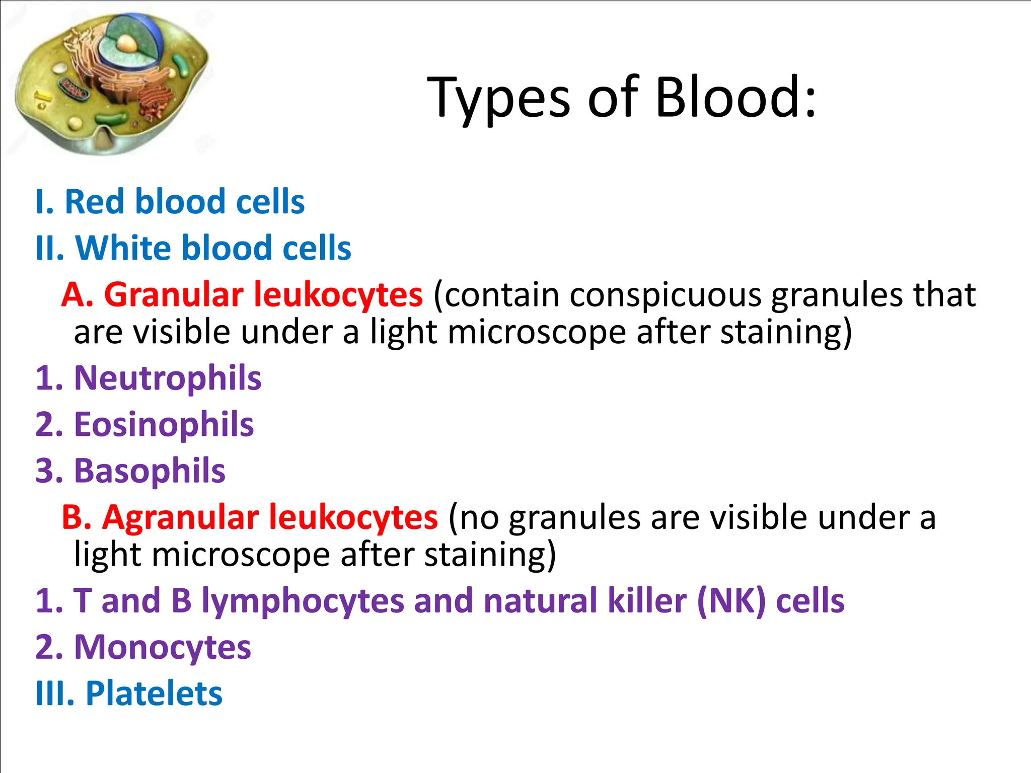 Red blood cells and blood peripheral smear | PPT