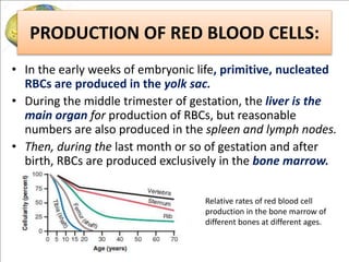Red blood cells and blood peripheral smear | PPT