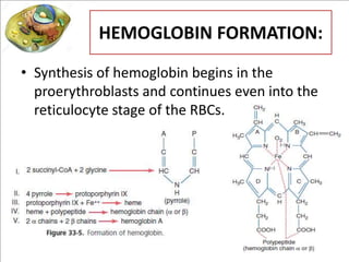 Red blood cells and blood peripheral smear | PPT