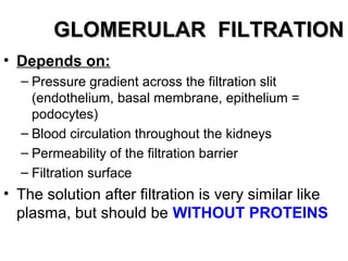 Physiology of kidney‫ | PPT | Endocrine and Metabolic Diseases ...