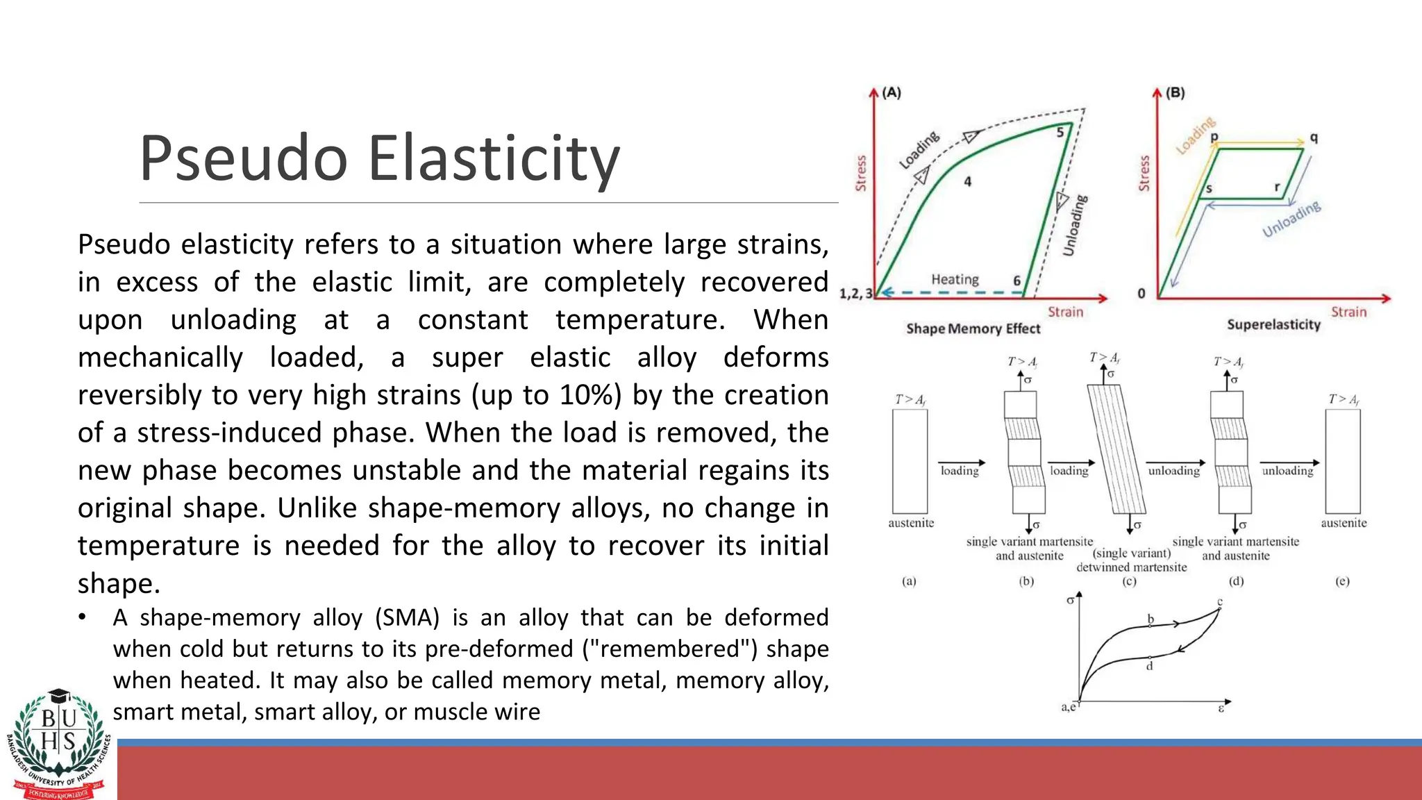 Lecture 8_Soft connective tissue (1).pptx