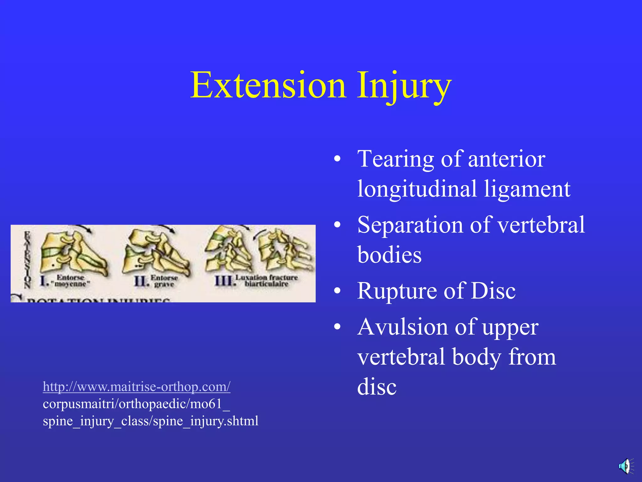 lecture 8 spine and spinal cord injuries.pdf