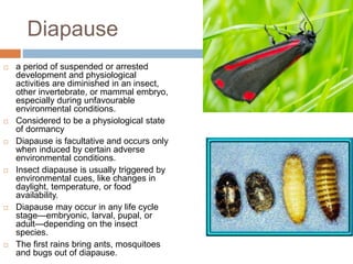 Lecture 8 Survftxfhgjhghgxsival strategies.pptx