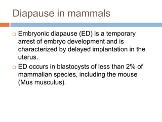 Lecture 8 Survftxfhgjhghgxsival strategies.pptx