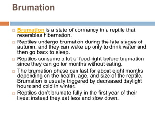 Lecture 8 Survftxfhgjhghgxsival strategies.pptx