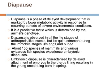 Lecture 8 Survftxfhgjhghgxsival strategies.pptx