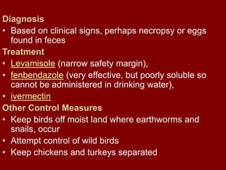 Lecture 8 syngamus, hook worms | PPT