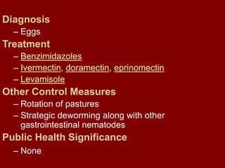 Lecture 8 syngamus, hook worms | PPT