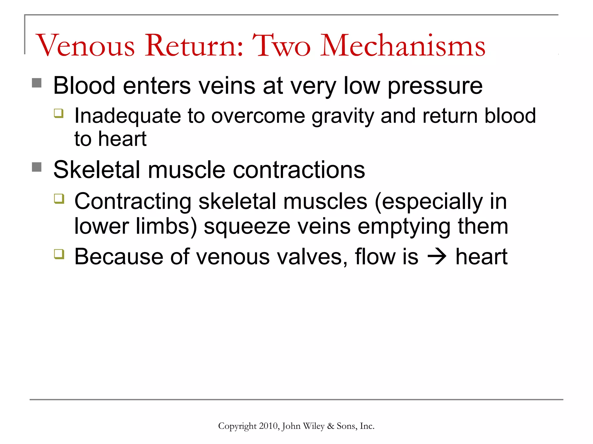Lecture 8 the cardiovascular system blood vessels and circulation | PPT