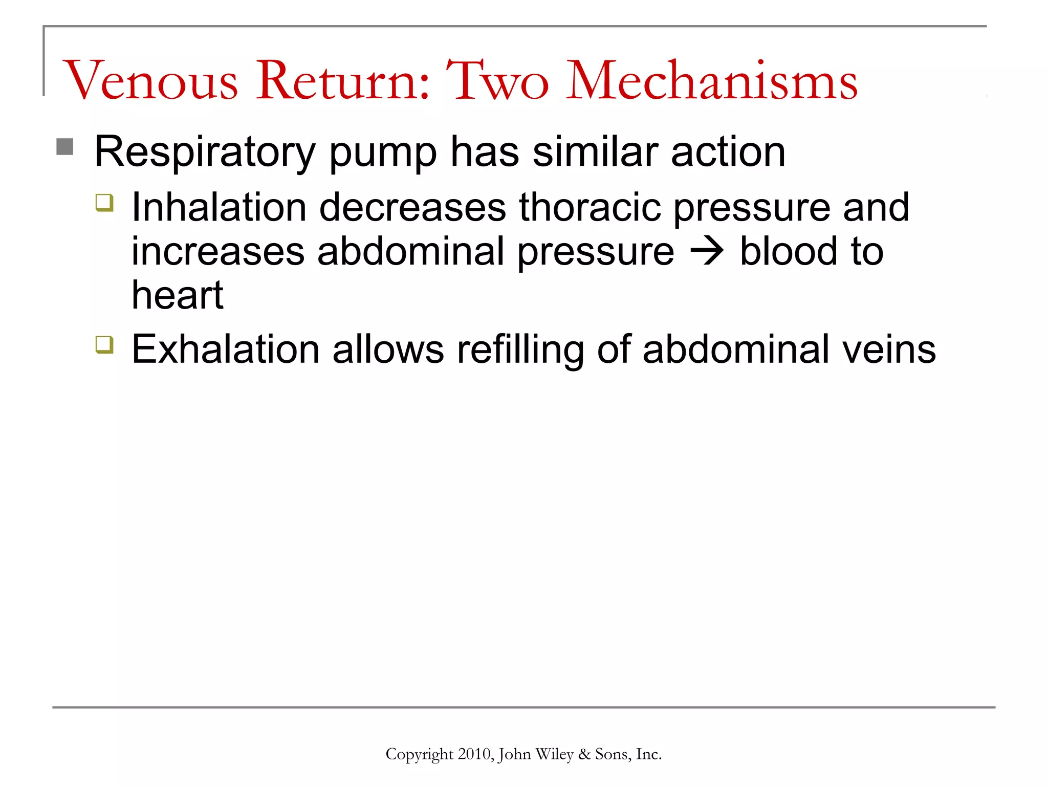 Lecture 8 the cardiovascular system blood vessels and circulation | PPT