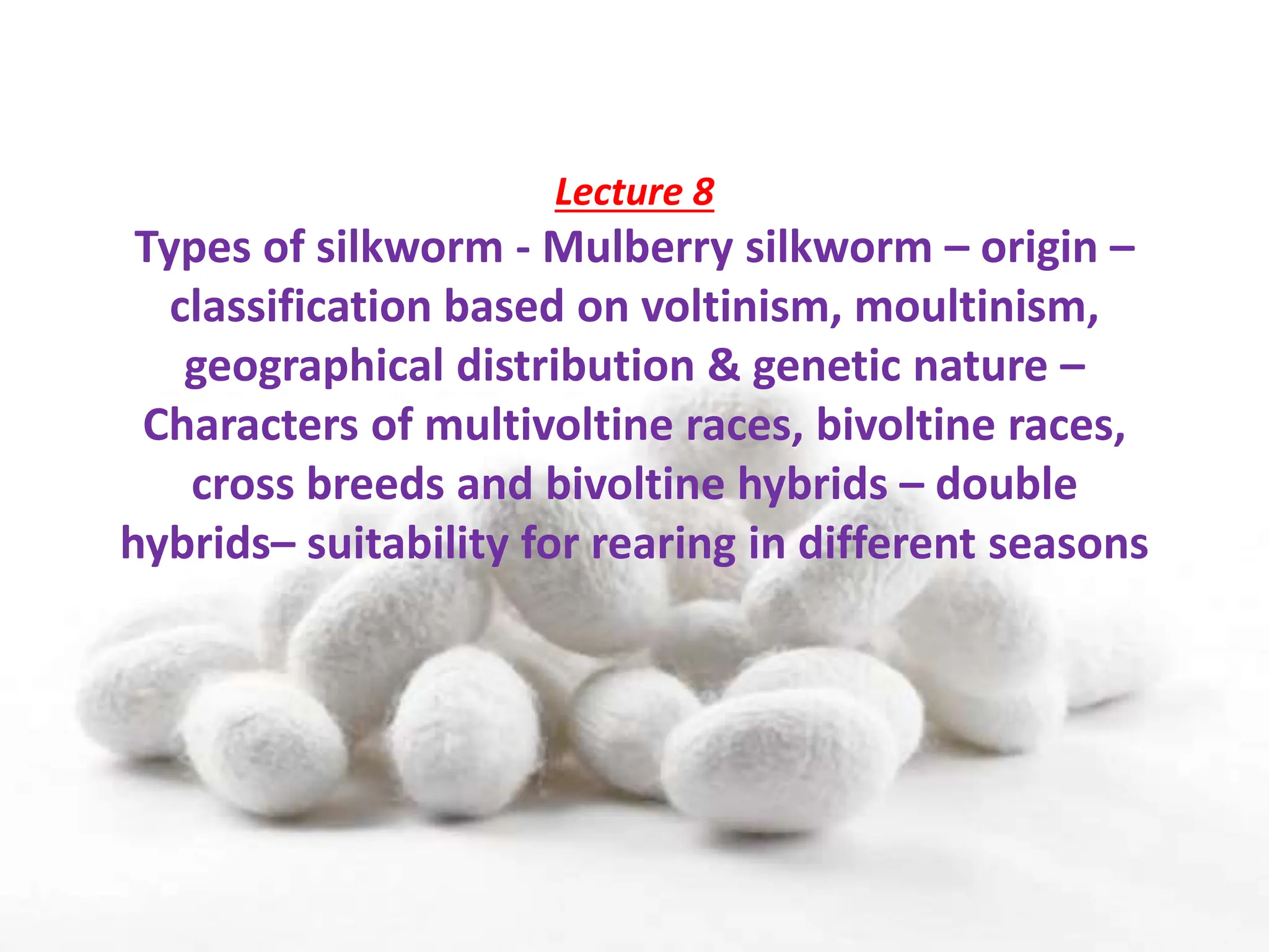 Lecture 8 Types of silk worm.pptx