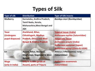 Lecture 8 Types of silk worm.pptx