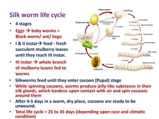 Lecture 8 Types of silk worm.pptx