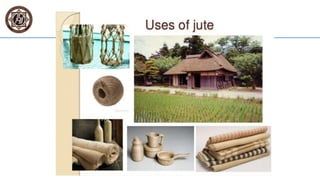 overview of jute fiber, properties and application | PPT