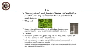 overview of jute fiber, properties and application | PPT