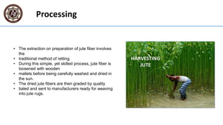 overview of jute fiber, properties and application | PPT