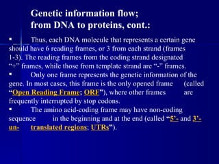 Lecture 9 10 dna-genes_chromosomes | PPT | Chemistry | Science
