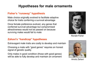 social selection | PPT