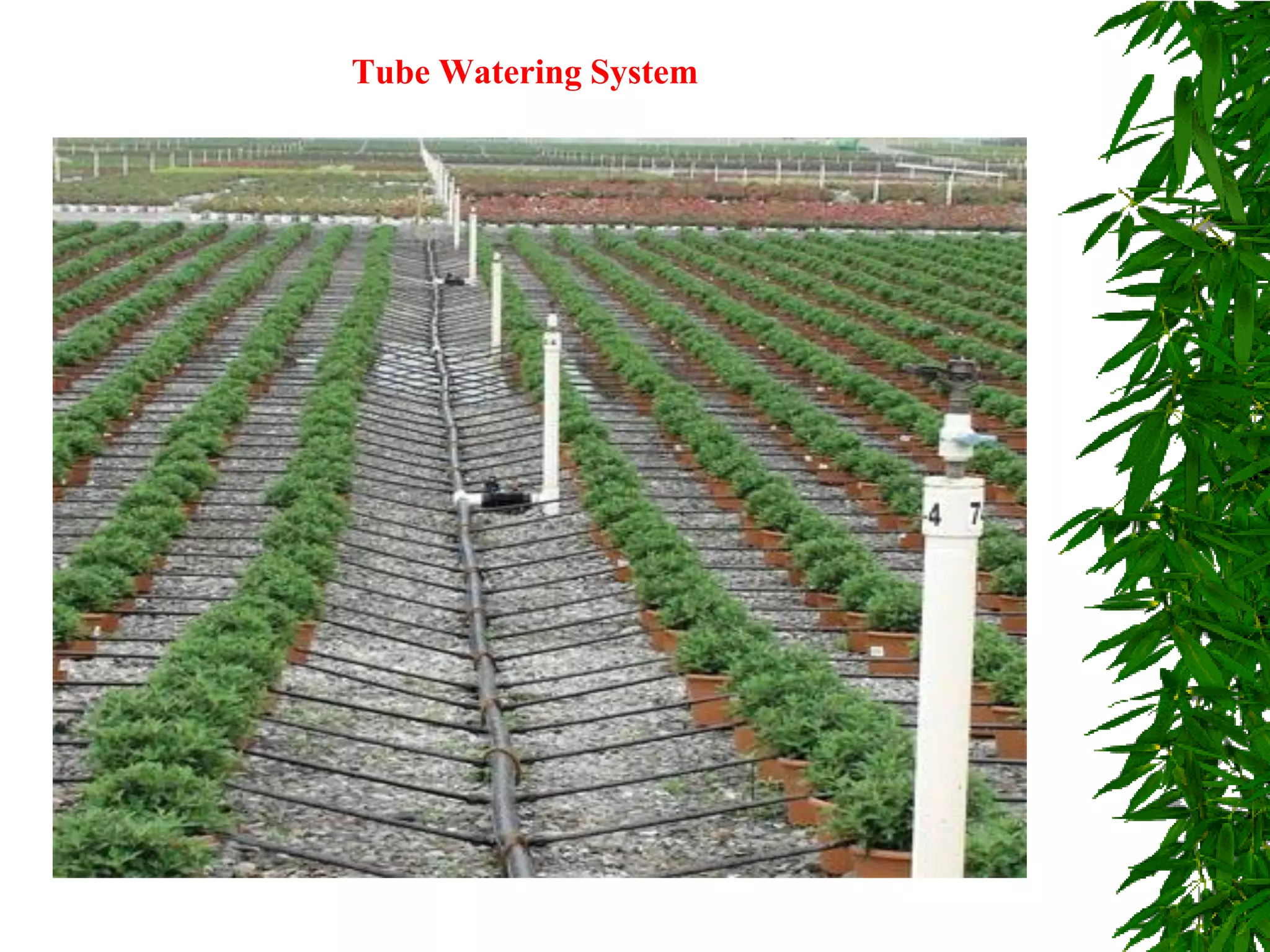 IRRIGATION SYSTEMS IN GREENHOUSE | PDF