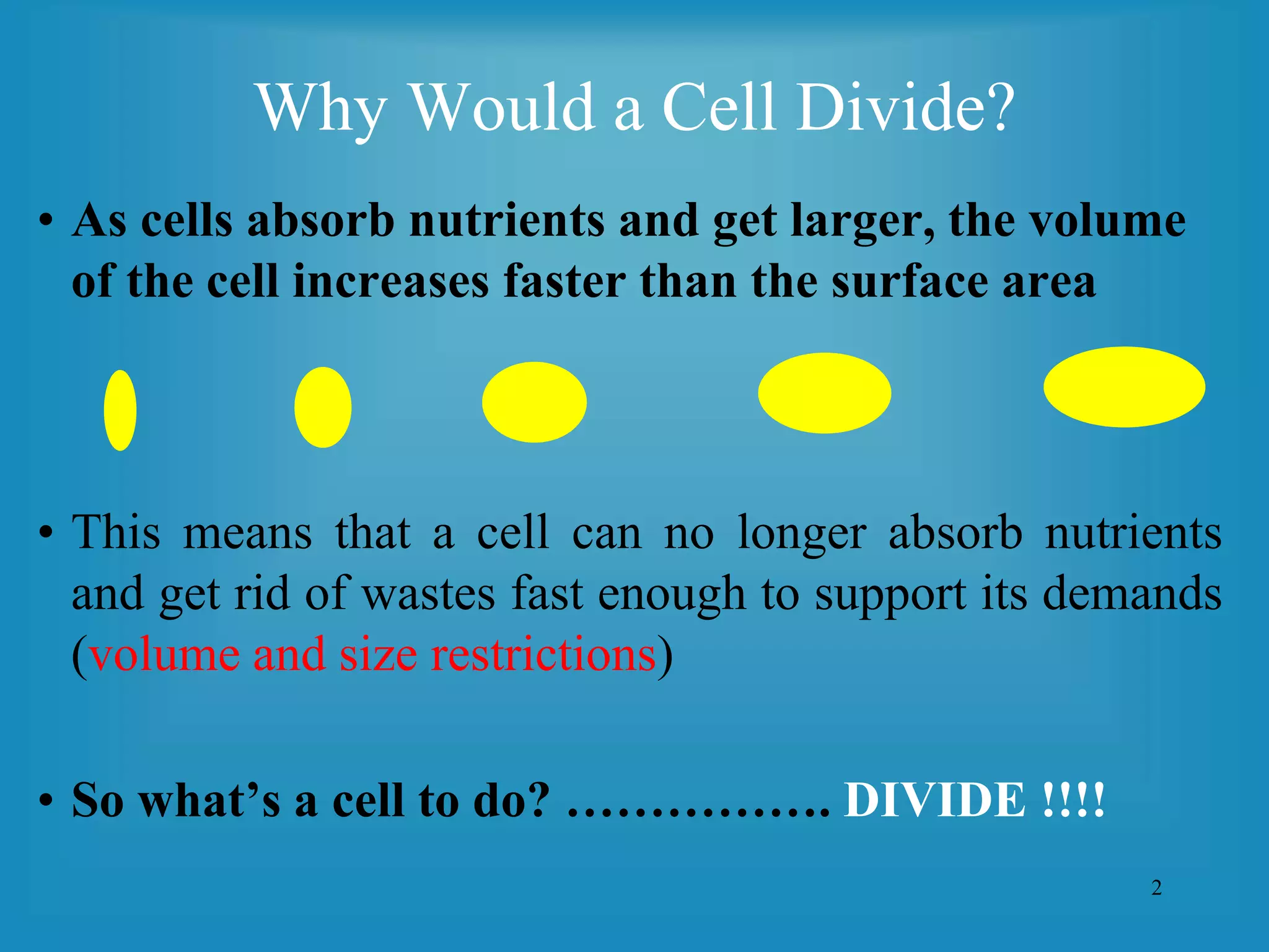 Mitosis and Cell Cycle Control (Cell Biology).ppt