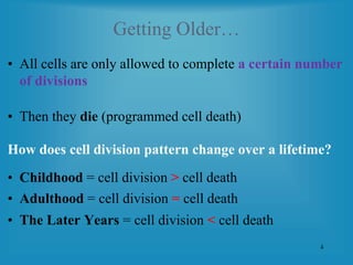 Mitosis and Cell Cycle Control (Cell Biology).ppt