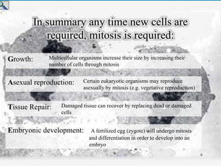 Mitosis and Cell Cycle Control (Cell Biology).ppt