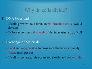 Mitosis and Cell Cycle Control (Cell Biology).ppt