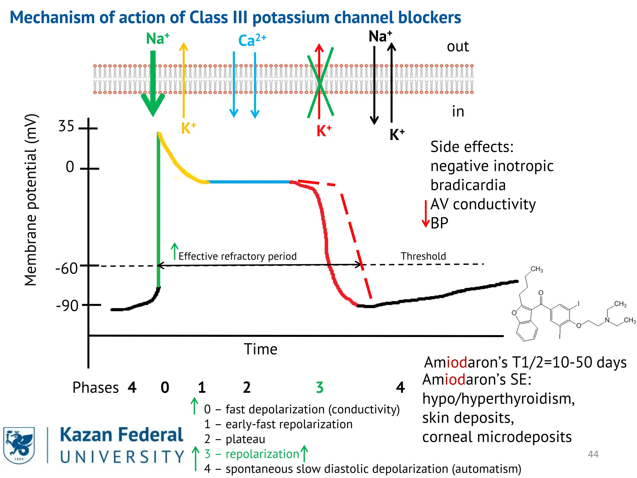 Lecture 9. Cardiotonic and antiarrhythmic drugs.pdf