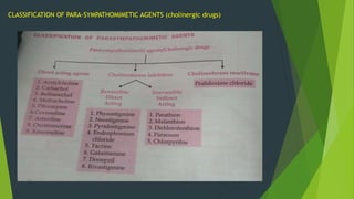 Lecture 9 .Parasympathetic agents.b pharmacy second year | PPTX | Brain ...