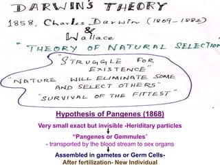PRE MENDELIAN IDEAS ABOUT HEREDITY- VAPOUR THEORY | PPT