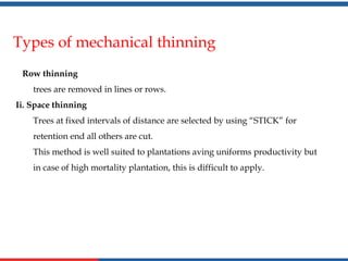 THINING IN FORESTRY AND ITS TYPES IN FORESTRY | PPTX
