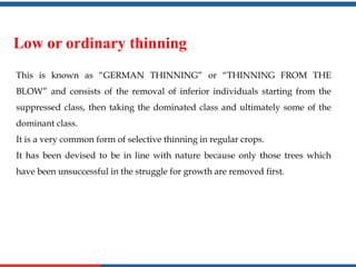 THINING IN FORESTRY AND ITS TYPES IN FORESTRY | PPTX
